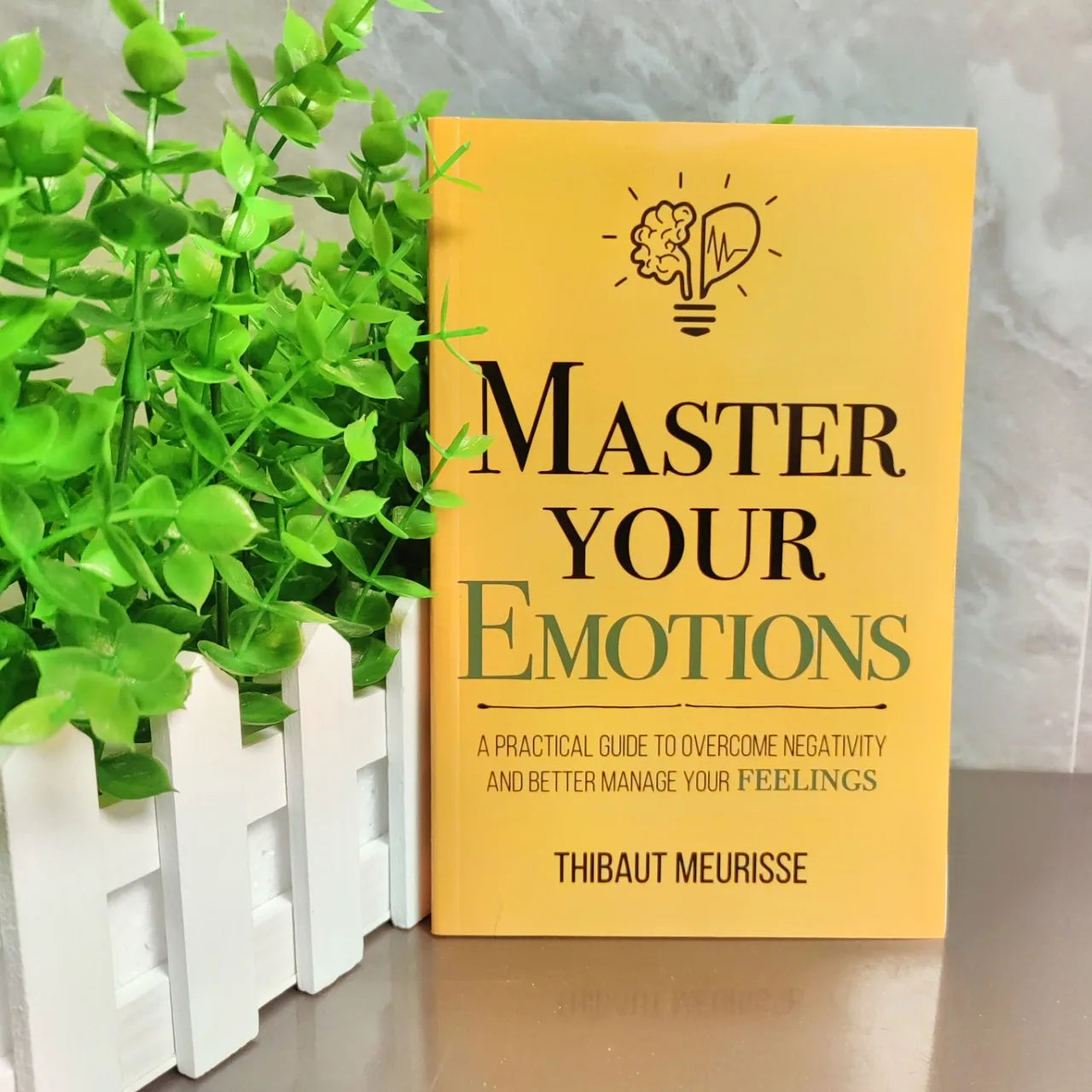 Practical Guide To Mastering Your Emotions English Version – SANDIBAD
